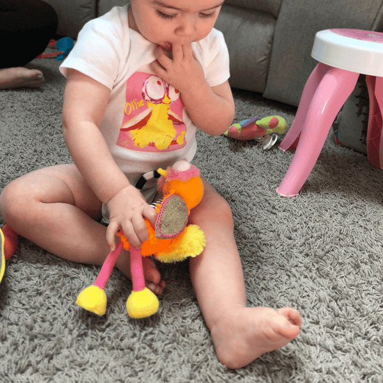 Ollie the Oddball Oddbird Chime & See Atachable Hanging Activity Toy ...